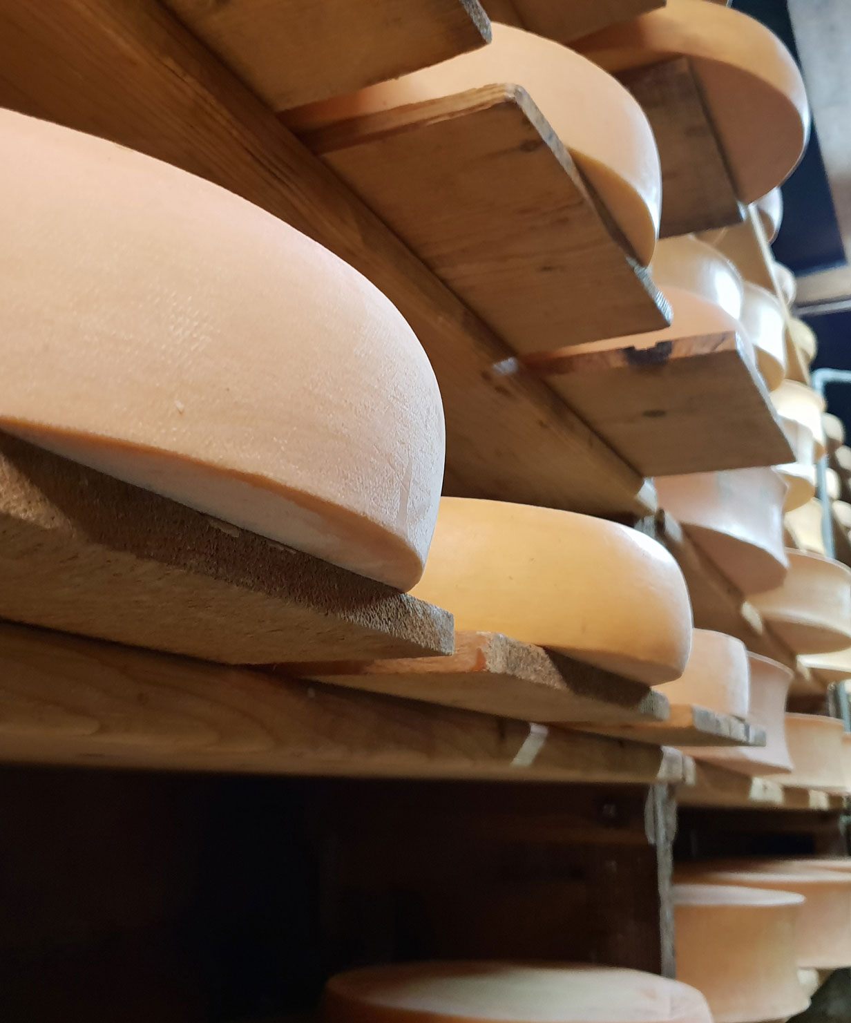 Le fromage à raclette